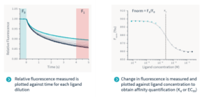 Fnorm - Definition and Relevance | Nanopedia