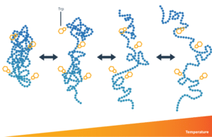 nanoDSF - NanoTemper Technologies