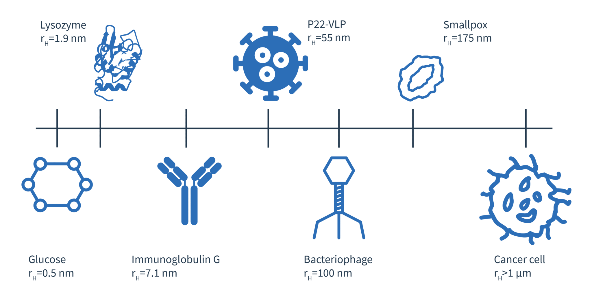 Dynamic Light Scattering - NanoTemper Technologies